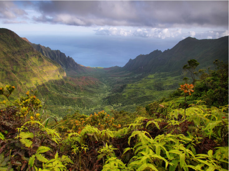 The 15 Best Hikes in Kauai in 2025 (Our Top Picks)