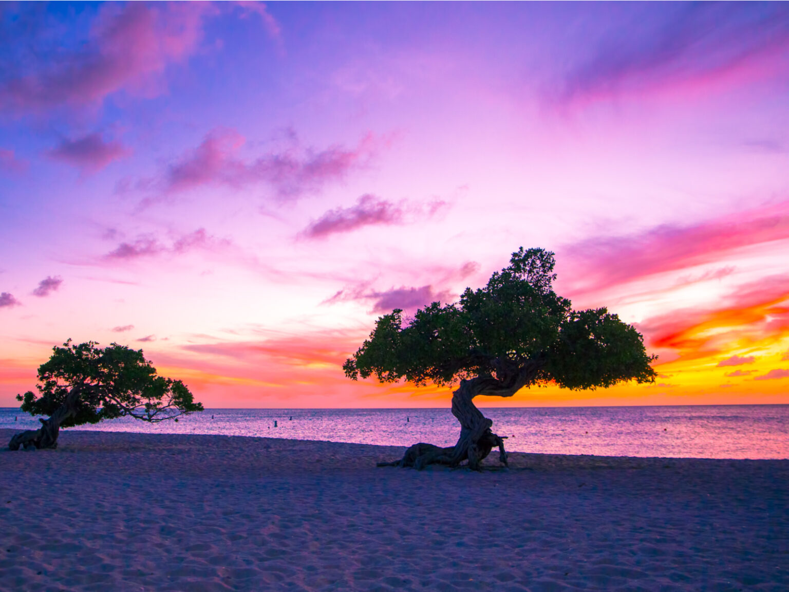 The Best Time to Visit Aruba in 2023 | Travellers 🧳