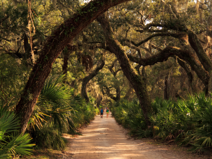 The 16 Best Tourist Attractions in Georgia