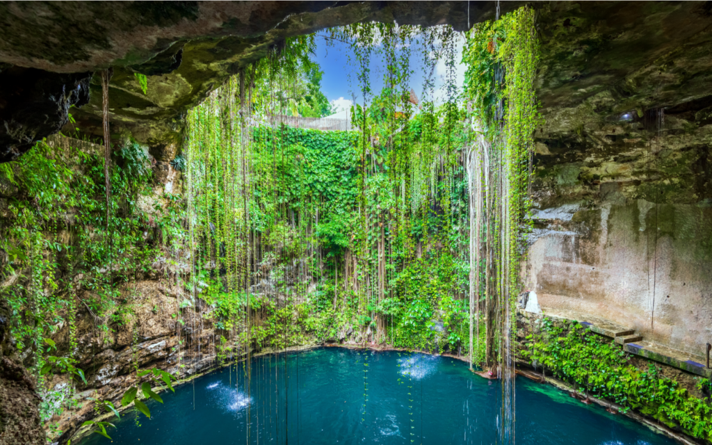 🤿 The 12 Best Cenotes in Mexico (Top Picks for 2024)