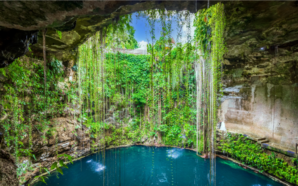 🤿 The 12 Best Cenotes in Mexico (Top Picks for 2024)