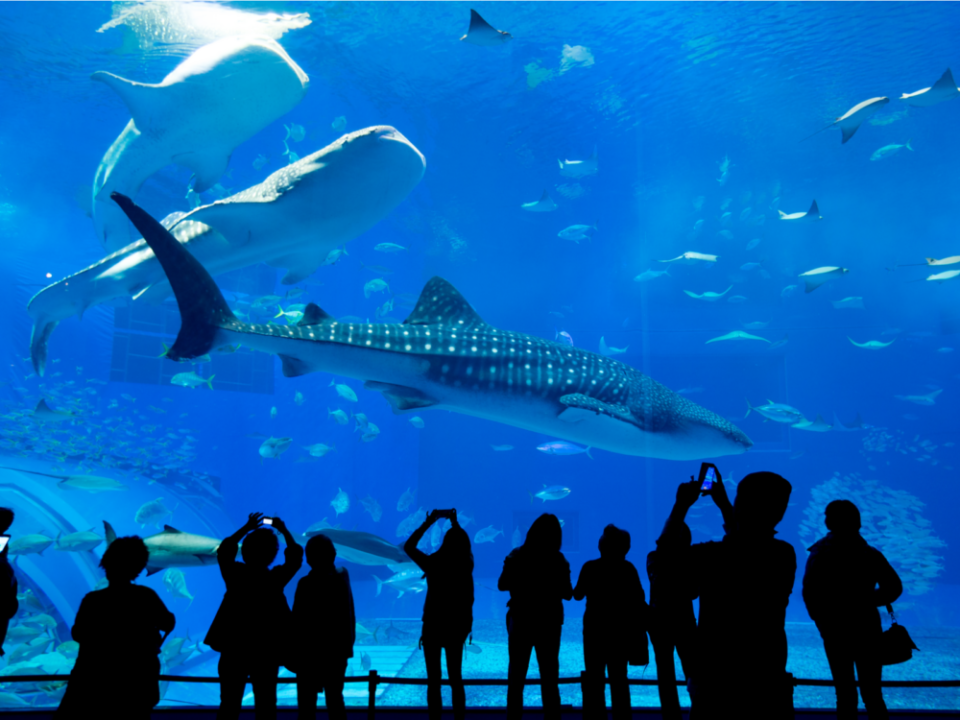 The 16 Best Tourist Attractions in Georgia