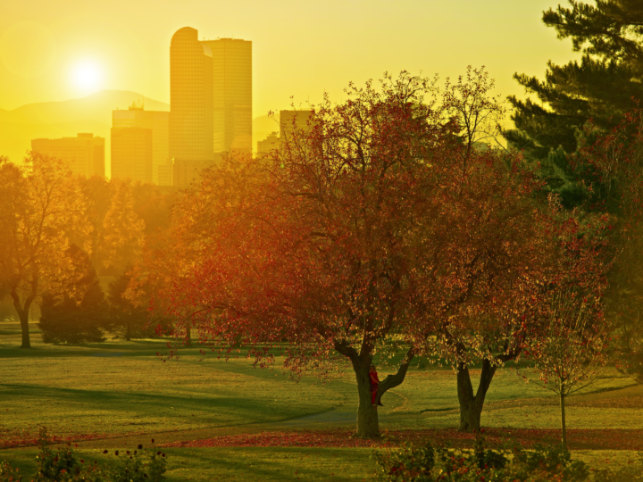 The Best Time to Visit Denver in 2022 | Travellers 🧳