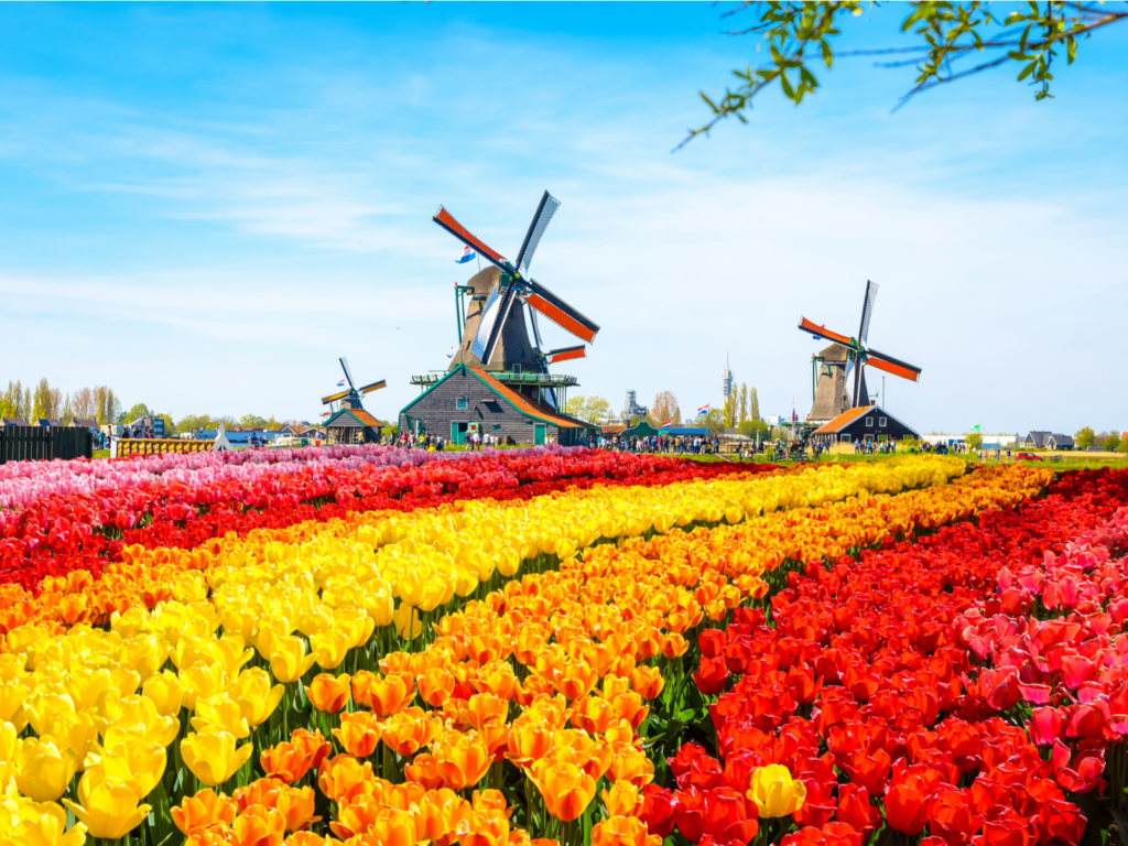 The Best Time to Visit Europe in 2023 | Travellers 🧳