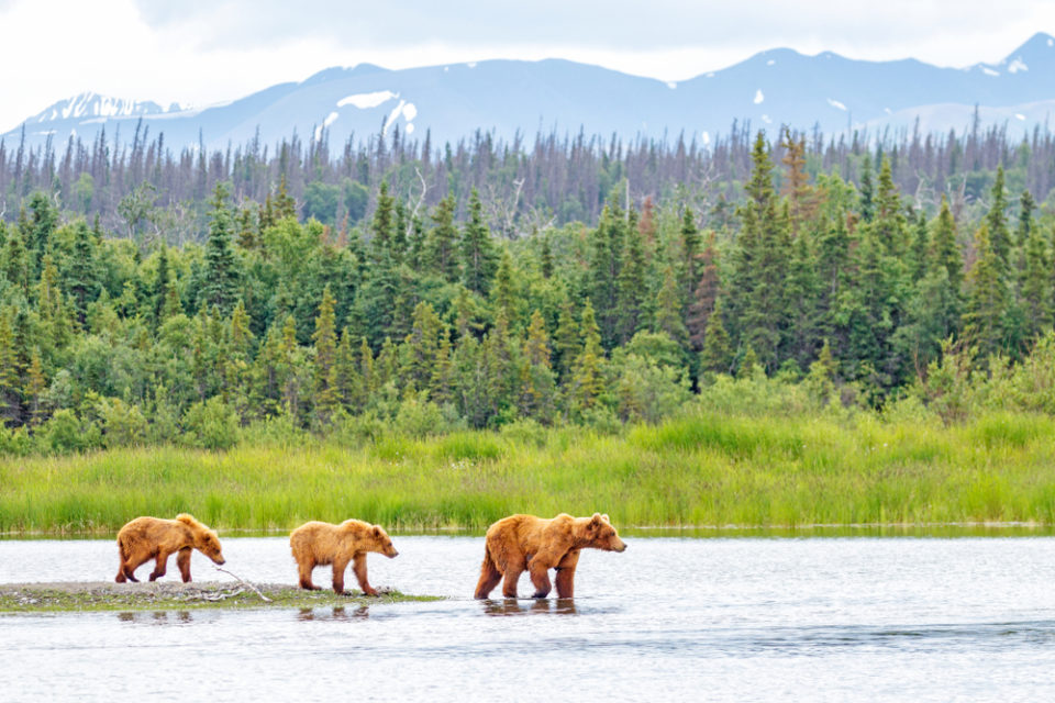 The 15 Best Places to Visit in Alaska (Updated for 2025)