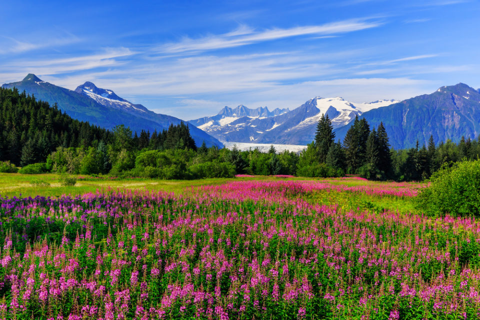 The 15 Best Places to Visit in Alaska (Updated for 2025)