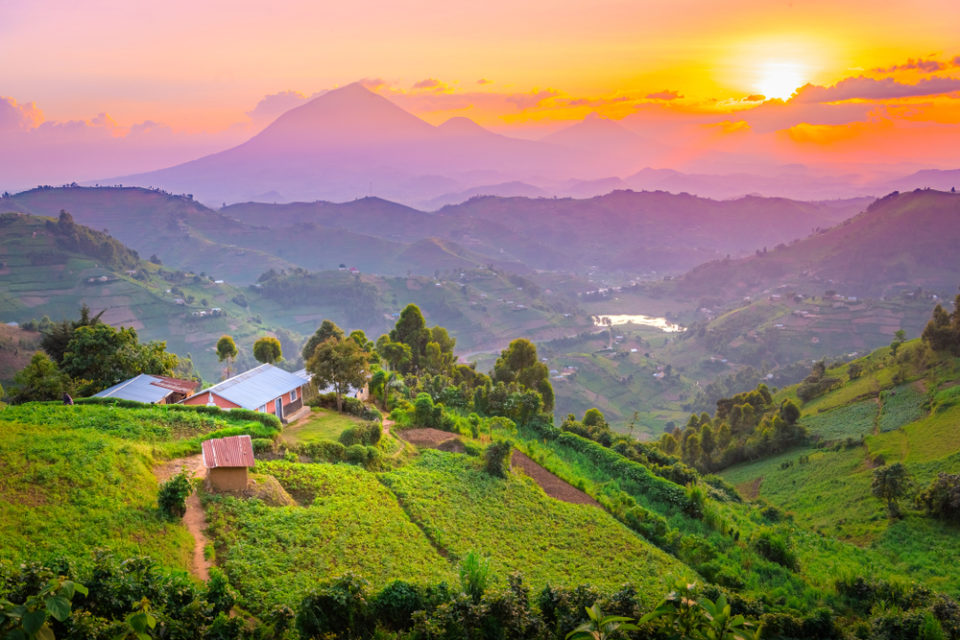 Is Uganda Safe to Visit in 2026? | Safety Concerns