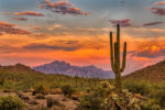 📅 The Best & Worst Times to Visit Phoenix in 2025