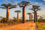 Is Madagascar Safe to Visit in 2024? | Safety Concerns