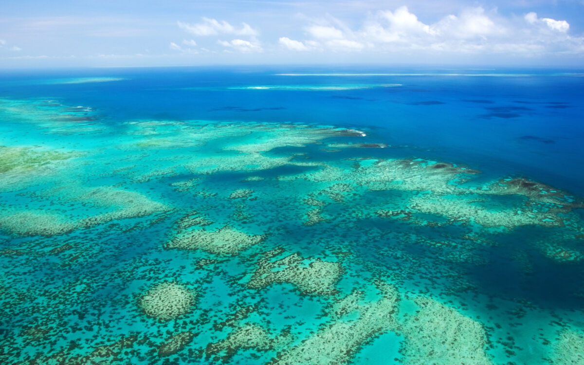 📅 The Best Time to Visit the Great Barrier Reef in 2024