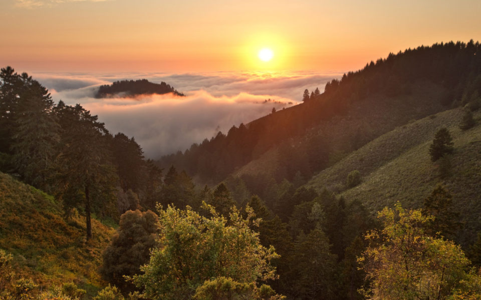 The 16 Best Places to Visit in Northern California in 2025