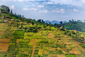 📅 The Best Time to Visit Rwanda in 2025 (Our Take)