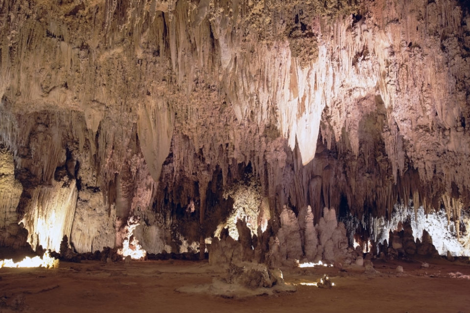 📅 The Best Time to Visit Carlsbad Caverns in 2025