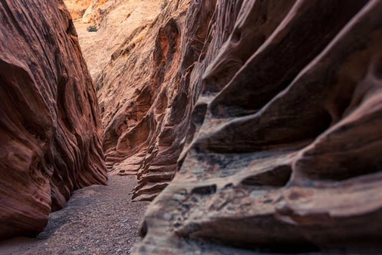 📅 The Best & Worst Times to Visit Moab in 2026 (Our Take)