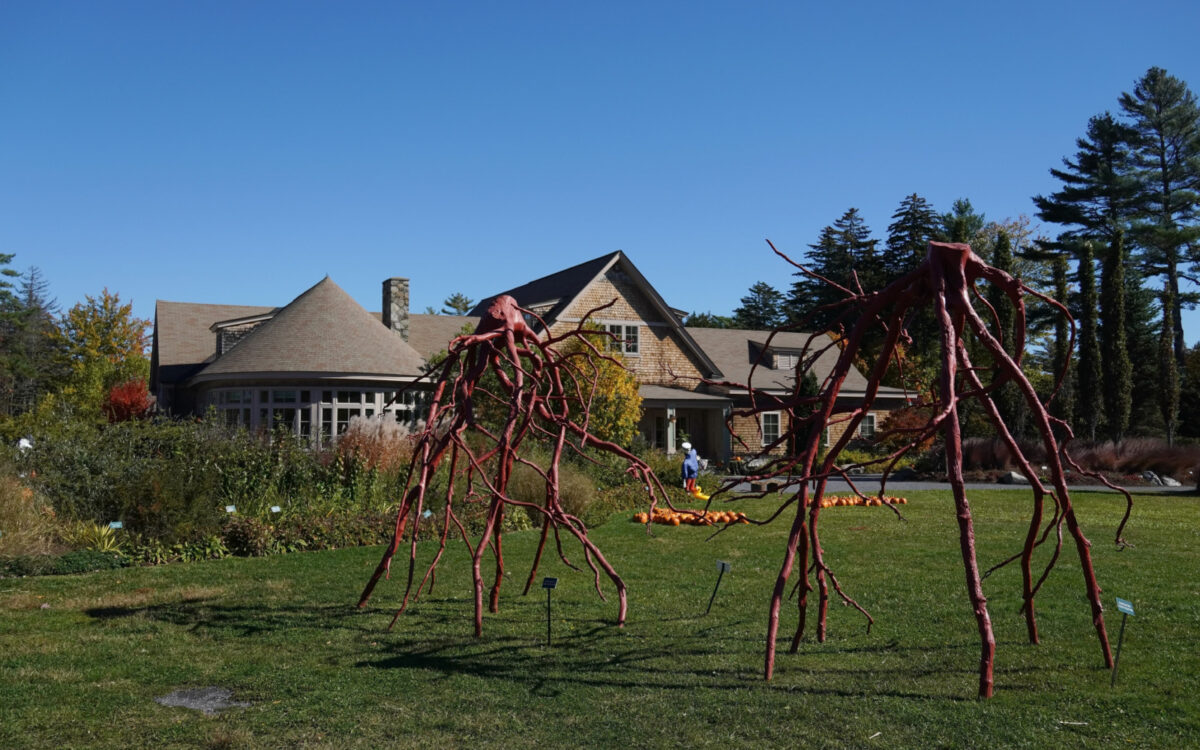 📅 The Best Time to Visit Coastal Maine Botanical Gardens