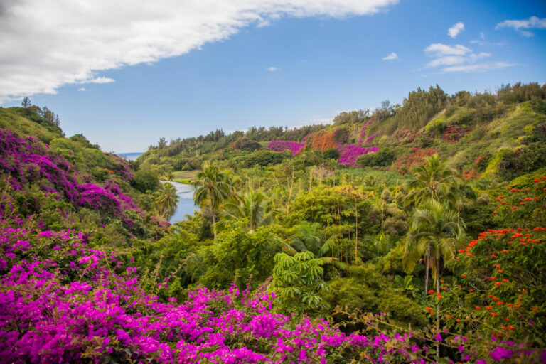The 15 Best Places to Visit in Hawaii in 2026 (Our Favorites)