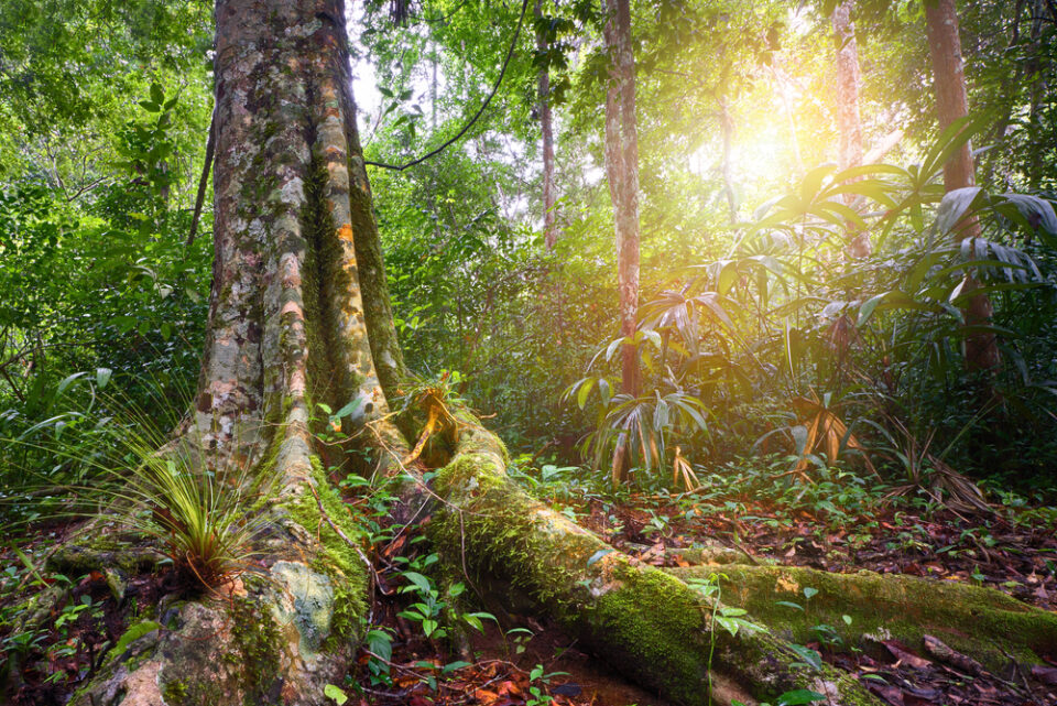 15 Best Places to Visit in Guatemala (Expert Picks for 2024)