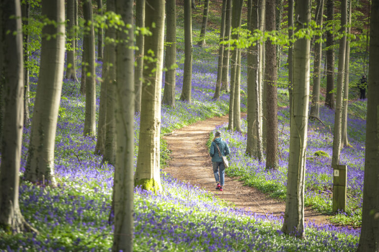 The 18 Best Places to Visit in March in 2024