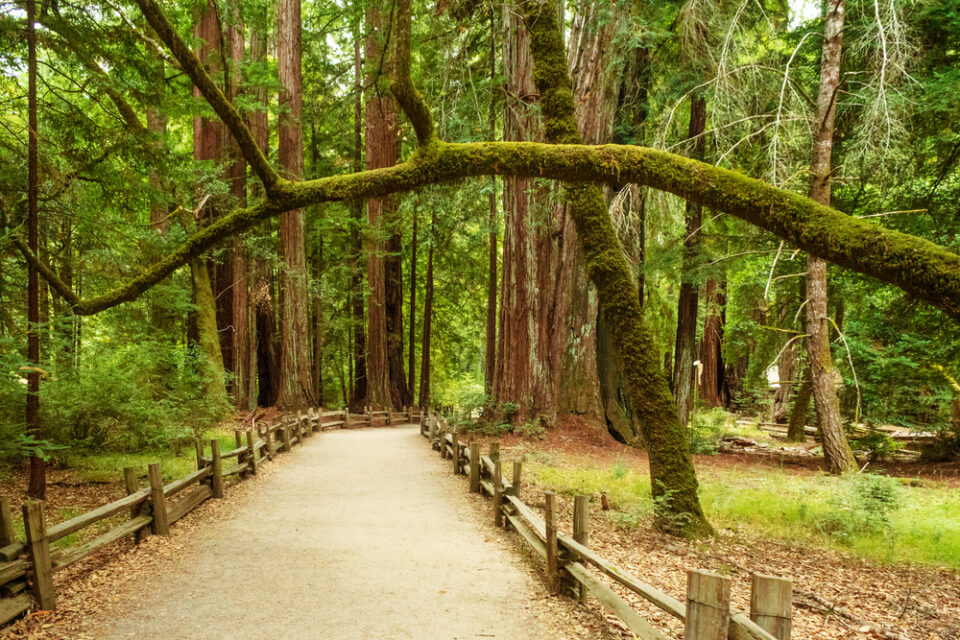 15 Best Places to Visit in the Bay Area (Updated for 2024)