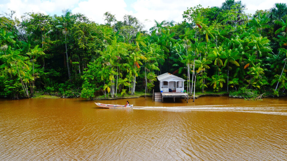 📅 The Best & Worst Times to Visit the Amazon in 2025