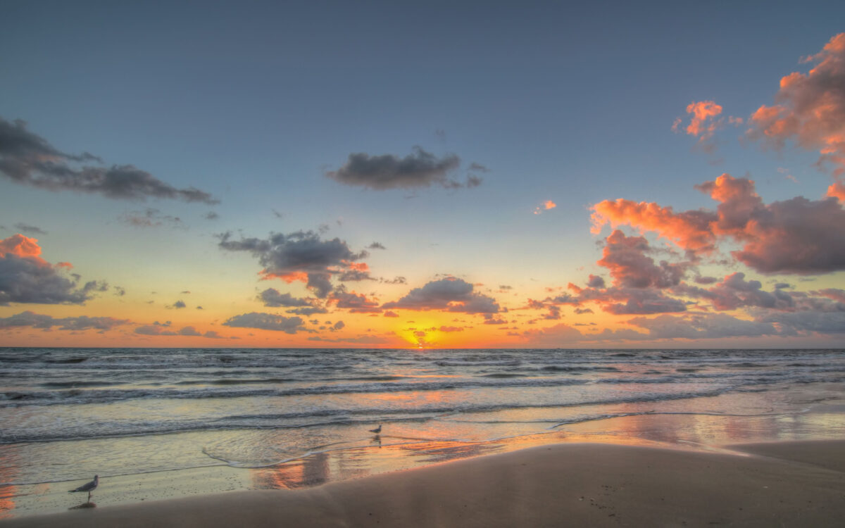 The 8 Best Beaches in Texas to Visit (Our Favorites in 2024)