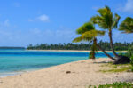 📅 Tonga: When to Go for Perfect Weather & Whale Watching