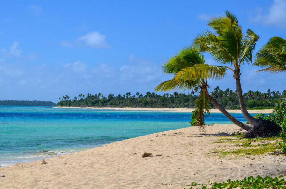 📅 Tonga: When to Go for Perfect Weather & Whale Watching