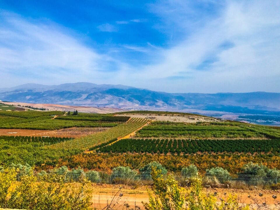 📅 The Best & Worst Times to Visit Lebanon in 2026 (Our Take)