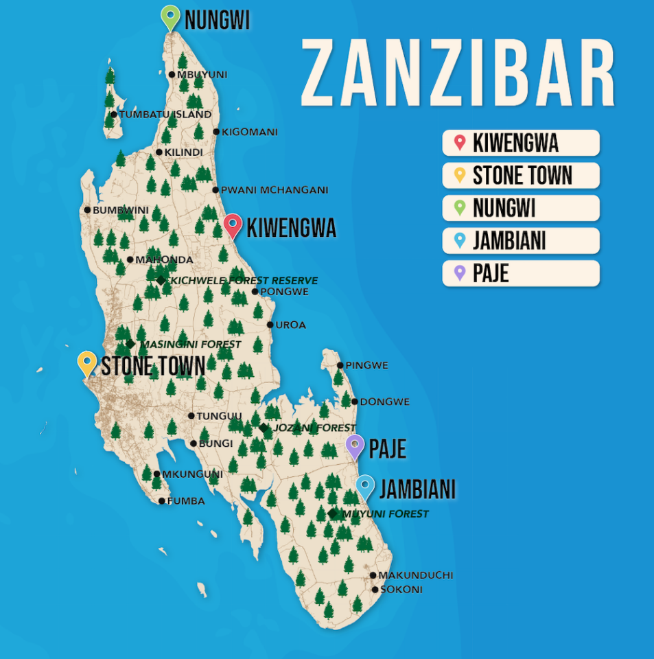 📍 Where to Stay in Zanzibar in 2025 | Best Areas & Hotels