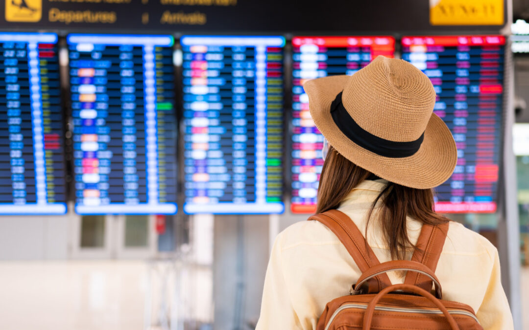 What Is Domestic Travel? Definition, Examples, & Tips