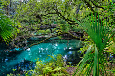 25 Fun and Interesting Facts About Florida for 2026