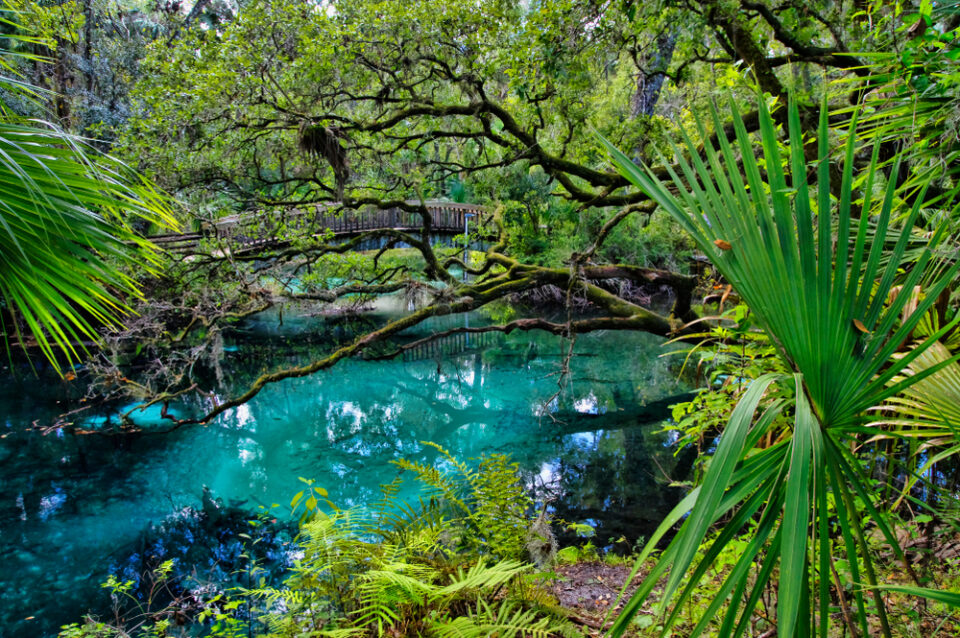 25 Fun and Interesting Facts About Florida for 2025