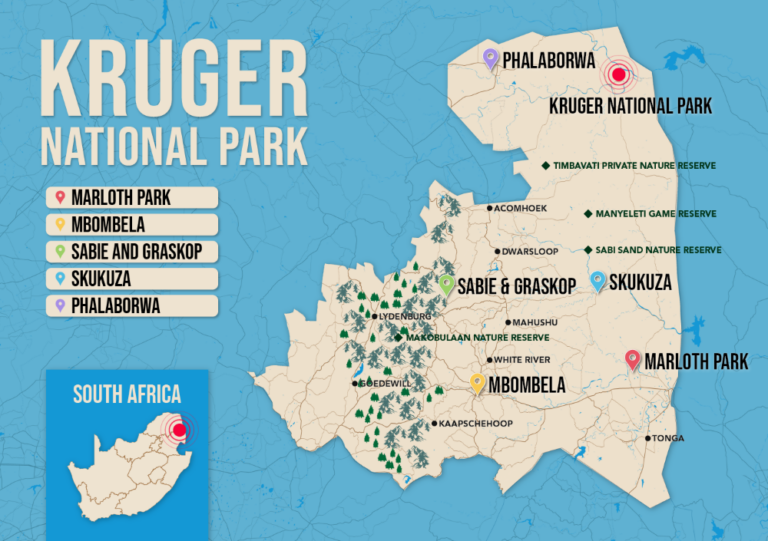 📍 Where to Stay in Kruger National Park in 2025 | Best Areas