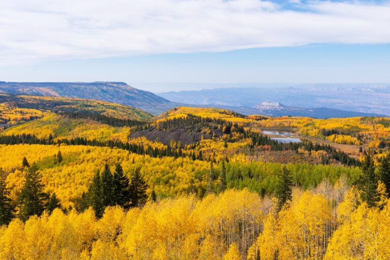 25 Fun & Interesting Facts About Colorado (Updated for 2024)