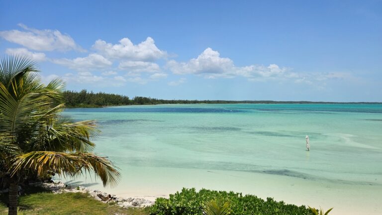 What Are the Caribbean Islands? (The 10 Biggest)