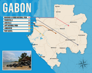 Where to Stay in Gabon (Best Areas of Town)