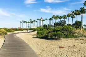 Is Long Beach Safe to Visit in 2025? | Safety Concerns