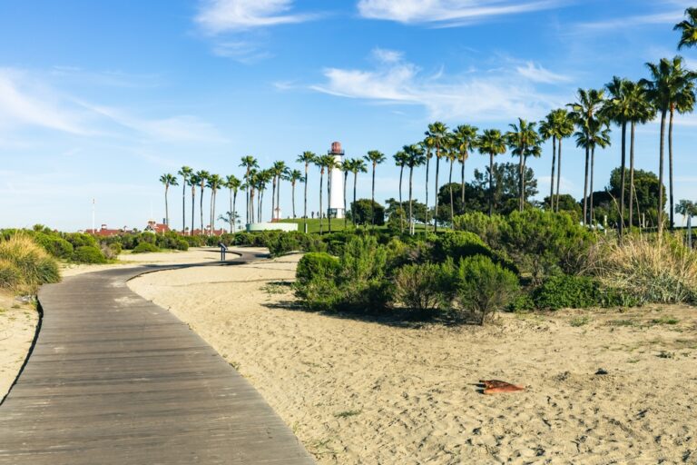Is Long Beach Safe to Visit in 2025? | Safety Concerns