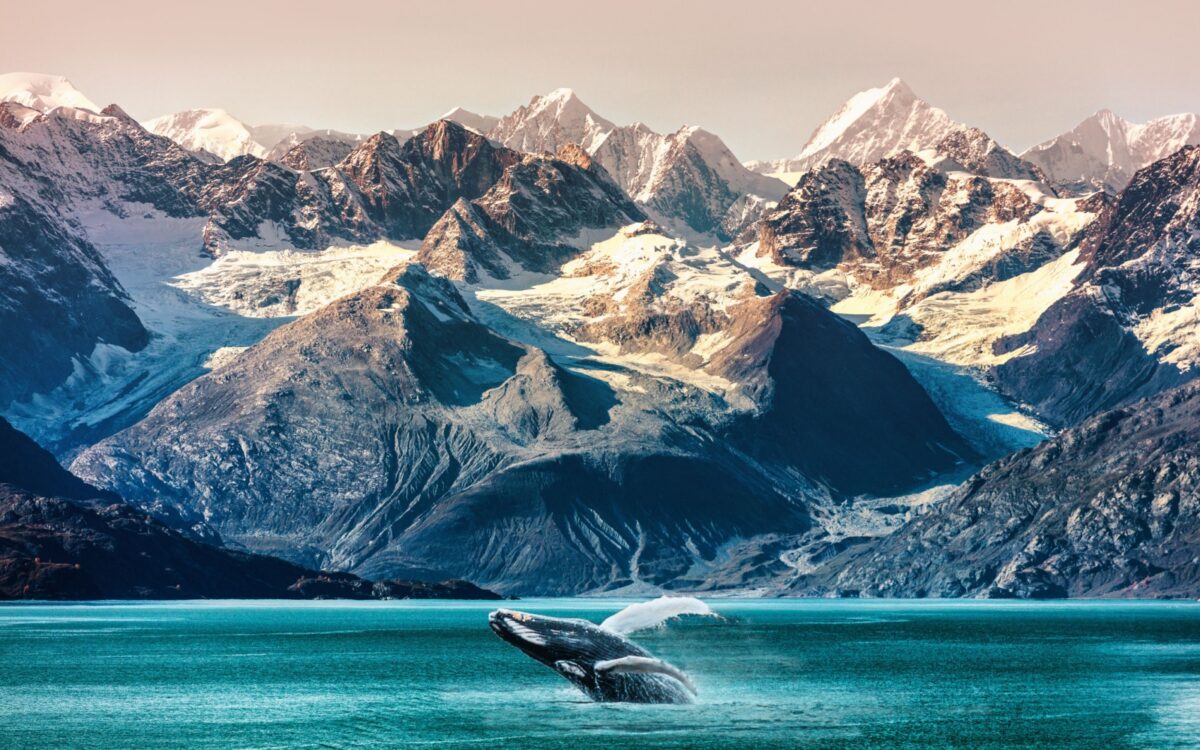 📅 The Best & Worst Times to Visit Alaska in 2025 (Our Take)