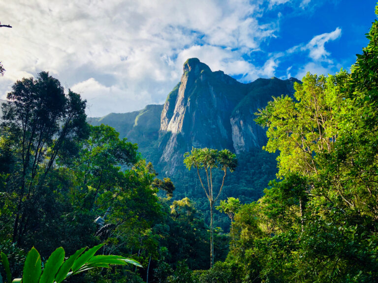 The Overall Best Time to Visit Madagascar in 2024