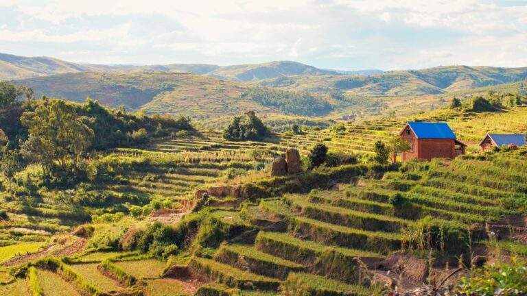 The Overall Best Time to Visit Madagascar in 2024
